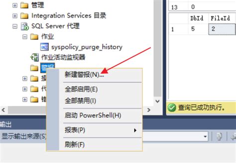 Sql Server Mirror Alwayson集群日志截断 收缩的自动化配置 炭花侠谷
