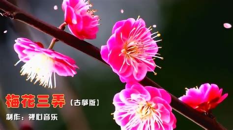 梅花三弄 古琴曲 搜狗百科