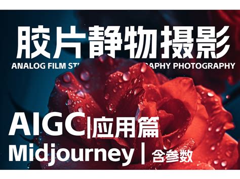 胶片静物摄影 Aigc应用 Midjourney胶片模拟五艺sun 站酷zcool