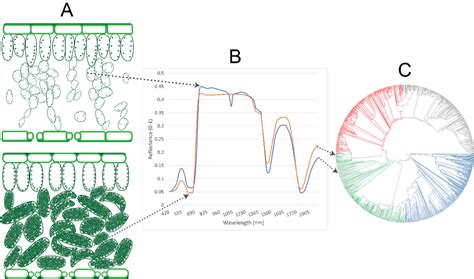 Remote Sensing Of Grassland Biodiversity And Functional Traits