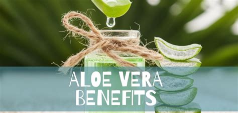 Benefits Of Aloe Vera On Face Overnight 8 Billion Voices
