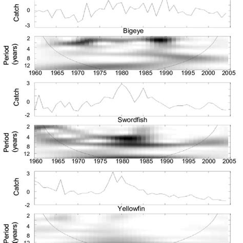 Wavelet Analyses Of The Standardized Catch Time Series Of Bigeye Download Scientific Diagram