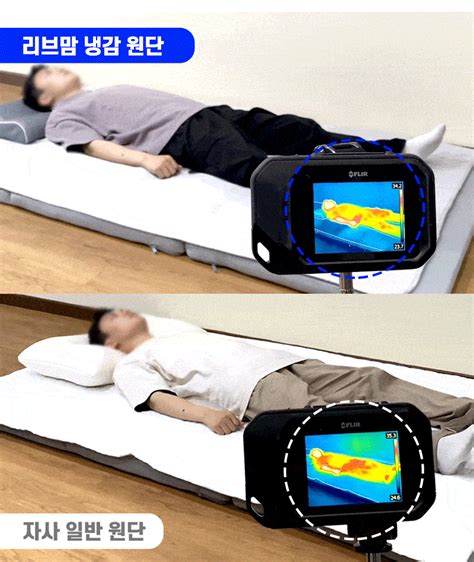 Livnicecoolpadpre3set04