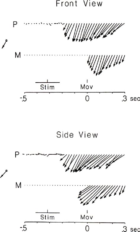 figure 1 from primate motor cortex and free arm movements to visual
