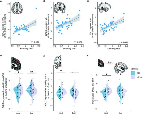 Activity And Connectivity Results Neural Correlates Of Fear Biased Download Scientific Diagram
