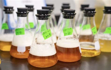 Tracking Ml Experiments Using Mlflow By Hafidz Zulkifli Tds Archive