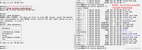【mysql】—— 数据库的操作查看数据库信息、字符集、校验规则 Csdn博客