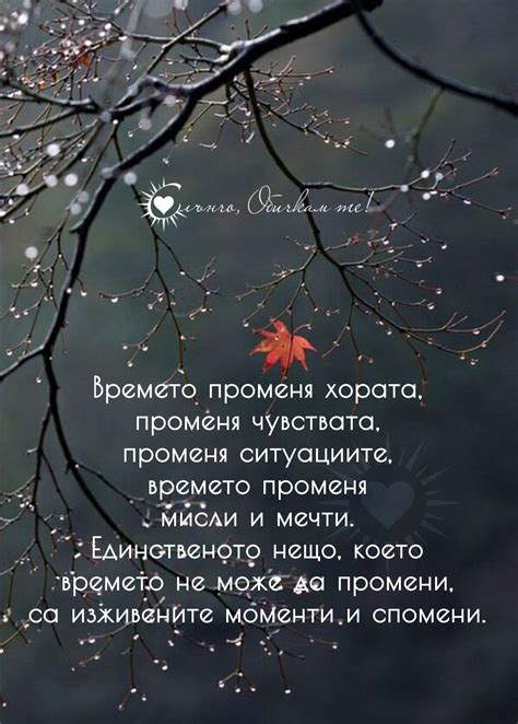 Времето променя хората променя чувствата променя ситуациите Надписи Истины Цитаты