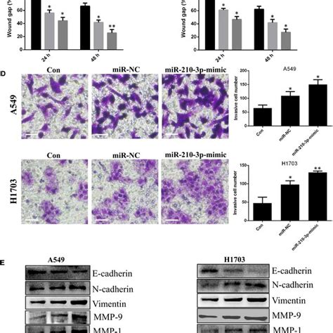 Exosomal Mir‐210‐3p Regulates The Metastatic Potential Of Lung Cancer