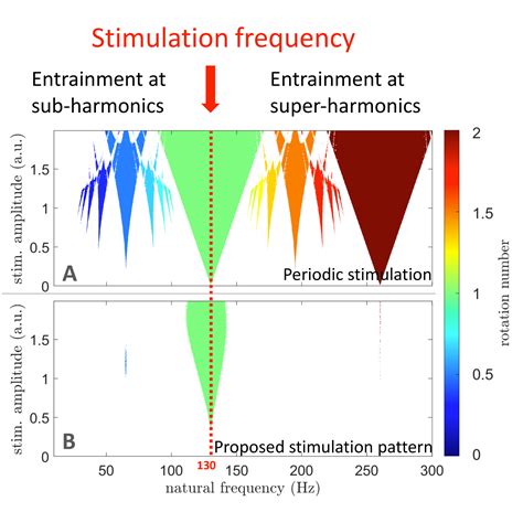 How To Entrain A Selected Neuronal Rhythm But Not Others Open Loop