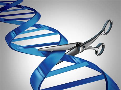 Rna Live Tracking Mit Crispr Cas Forscher Nutzen Crispr Cas Komplex Als „gps Sender“ Für Rna