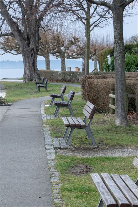 무료 이미지 나무 자연 숲 목재 보도 꽃 좌석 집 봄 휴식 정원 공원 벤치 앉다 조각 기념물 미술