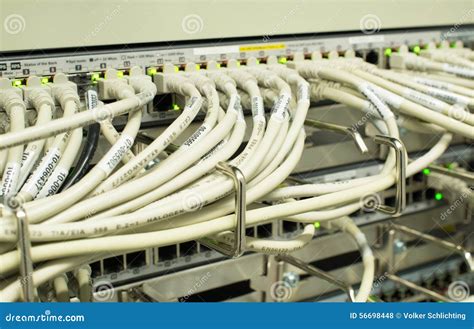 Network LAN Patch Panel Stock Photo Image Of Network 56698448