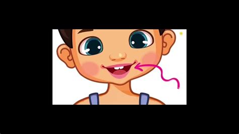 Будова тіла Закусило Н М Youtube