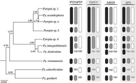 Assignment Of Putative Species Limits Using Rbcl Bayesian Inference