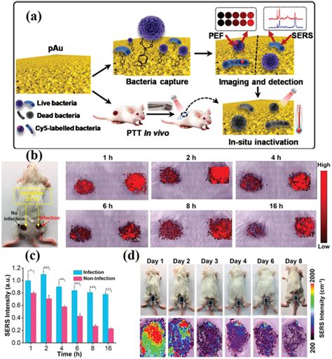 Schematic Display Of A Label‐based And B Label‐free Method For Sers