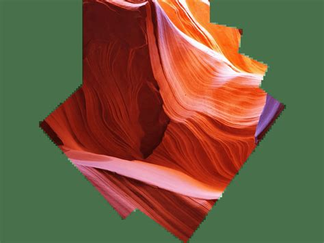 Scibite Technology That Unlocks Scientific Data Elsevier