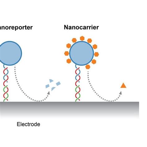 Schematic Overview Of The Role Of Nanomaterials In Electrochemical