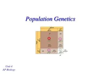 PPT Population Genetics PowerPoint Presentation Free Download ID 9697525