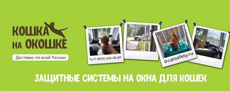Кошка на окошке защита на окна антикошка Изготавливаем защиту на любые окна от выпадения