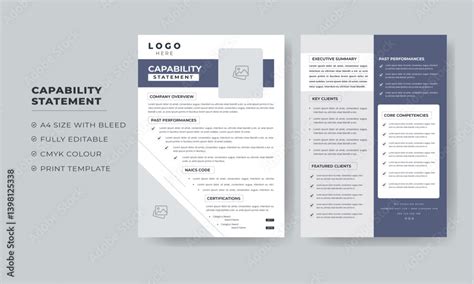 Capability Statement Design For Company Capability Statement Colorful