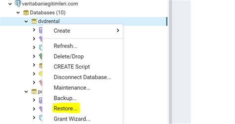 Postgresql Veri Tabanı Objeleri I Veri Tabanı Eğitimleri