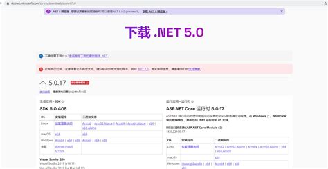 查看电脑net Framework版本和net50的安装 Csdn博客
