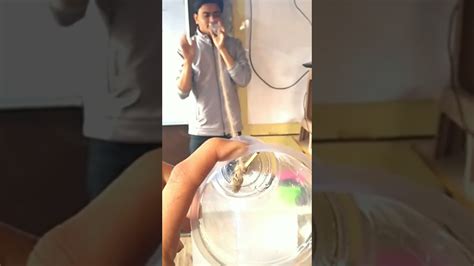 Sound Sound Propagation Through Solid Science Physics Go It