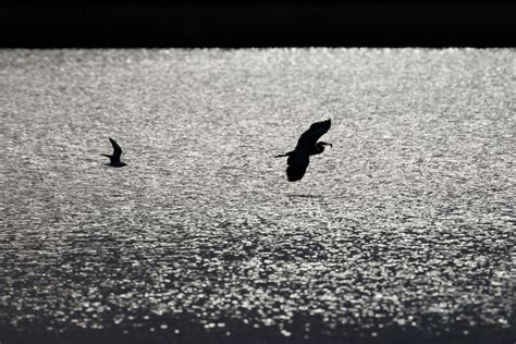 3 D0 A6206 Dx O Hosted At Imgbb — Imgbb