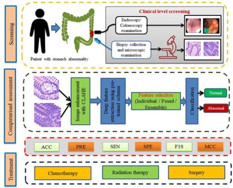 Proposed Cc Detection Framework Download Scientific Diagram