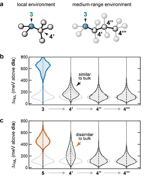 Locality Of Defect Environments A Schematic Of The Labelling Scheme