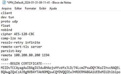 Como Configurar Seu Gateway Omada Como Servidor Openvpn No Modo Autônomo Tp Link Brasil