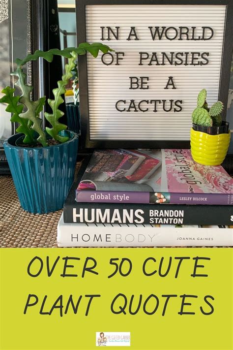 50 Cute Plant Quotes