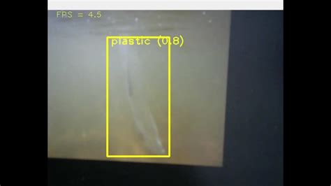 Do Image Classification And Object Detection By Amirgazi Fiverr