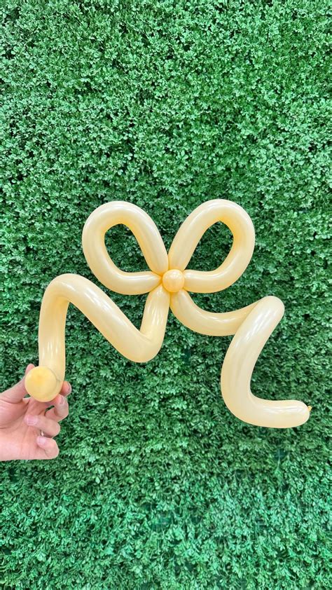 ‎بادکنک ارایی بوکت بادکنکی اموزش بادکنک ارایی‎ ‎ بوکت تم باب اسفنجی قابلیت ارسال سفارش در