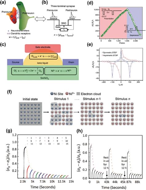 Iontronics In Neuromorphic Learning A E Three Terminal Synaptic Download Scientific Diagram
