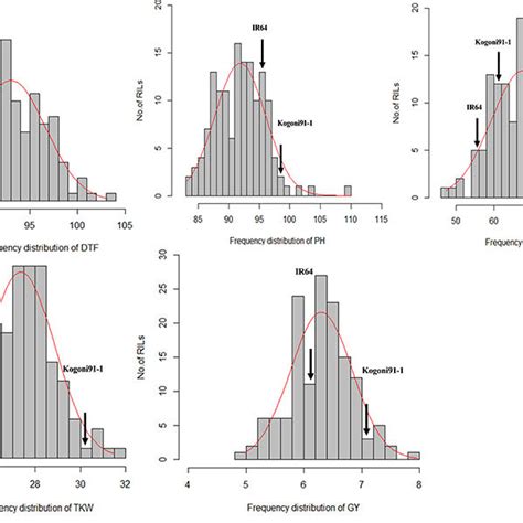 Phenotypic Variation Of Kogoni91 1 X Ir64 Derived Recombinant Inbred