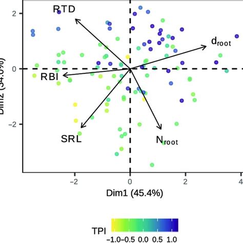 Functional Dispersion Fdis Along The Topographic Position Index