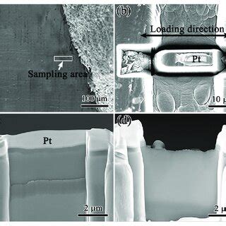 Preparation Of TEM Samples Using FIB A Determination Of Cutting Download Scientific Diagram