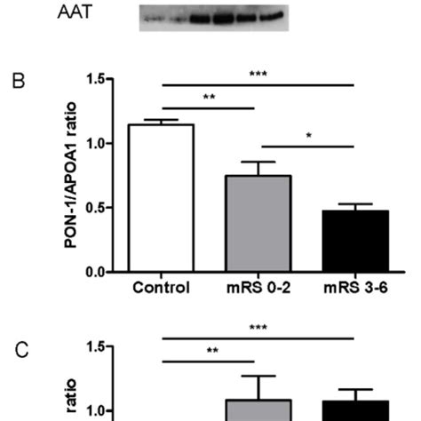 hdl associated proteins a western blot analysis of aat pon 1 and