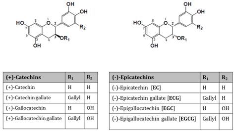 Catechins And Epicatechins Are Types Of Flavanols They Have Two Chiral