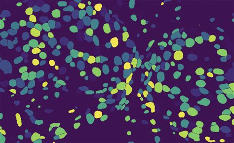 Github Angelolab Ark Analysis Integrated Pipeline For Multiplexed Image Analysis