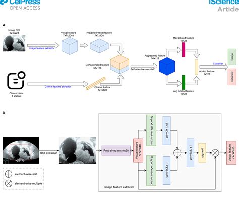 Figure 2 From Multi Modality Deep Learning Model Reaches High Prediction Accuracy In The