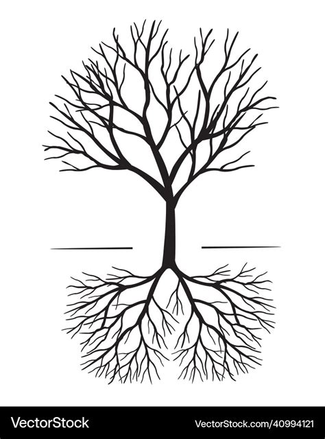 Black Naked Tree Outline Plant With Roots Vector Image
