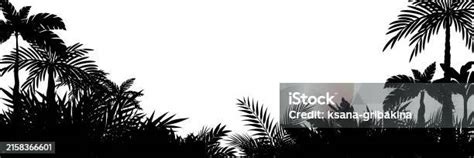 정글 풍경입니다 열대 우림의 실루엣을 가진 벡터 배경 수평 검은 색 파노라마 테두리 와 야자수 와 나무 와 풍경 실루엣에 대한 스톡 벡터 아트 및 기타 이미지 Istock