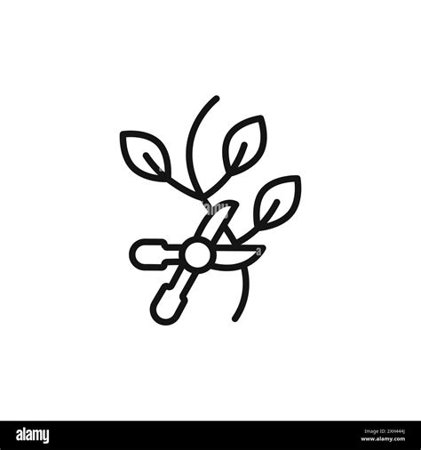Pruning Icon Logo Sign Vector Outline In Black And White Color Stock