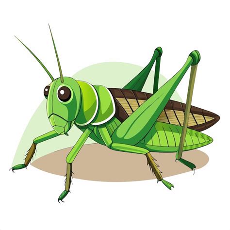 Grasshopper Face Vectors And Illustrations For Free Download Freepik