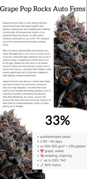 Autoflower Feminized Bud Builders Making Friends Growing Cannabis