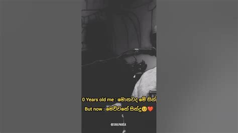 පුරපෝය හදට පෙමින් බැදුනු තාරකා ල්අදුන් 😌🖤🧠🍁 Youtube