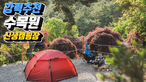 무려 4만평 꼭 가봐야할 신생 숲속 캠핑장 서울 1시간 거리 용인 파이브이모션캠핑장 Youtube
